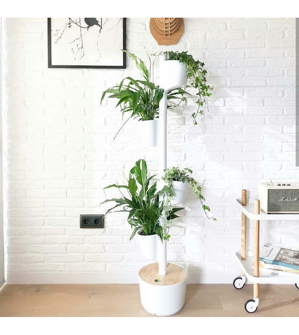 Macetero vertical personalizable | CitySens