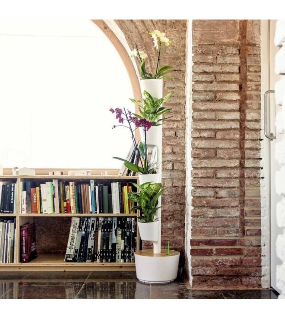 Macetero vertical con orquídeas | CitySens