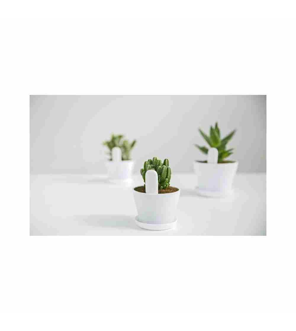 Sensor inteligente para plantas con Bluetooth | CitySens