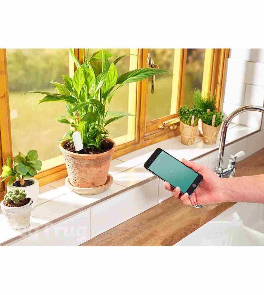 Smart plant sensor | CitySens