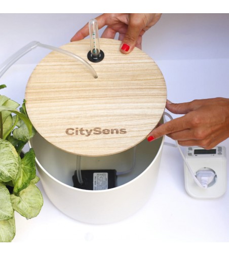 Automatic drip irrigation wth water tank |CitySens