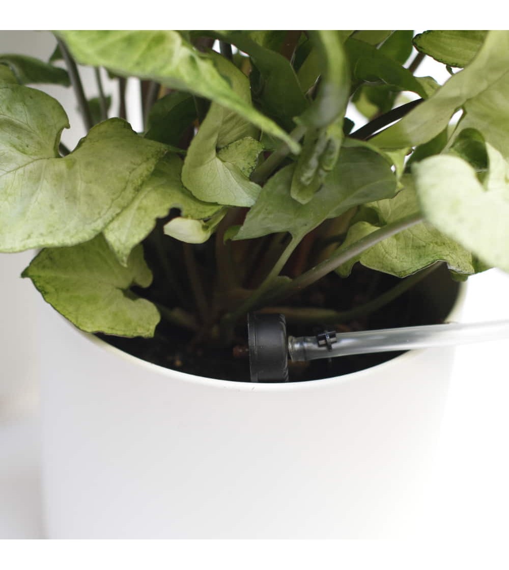 Automatic drip irrigation kit |CitySens