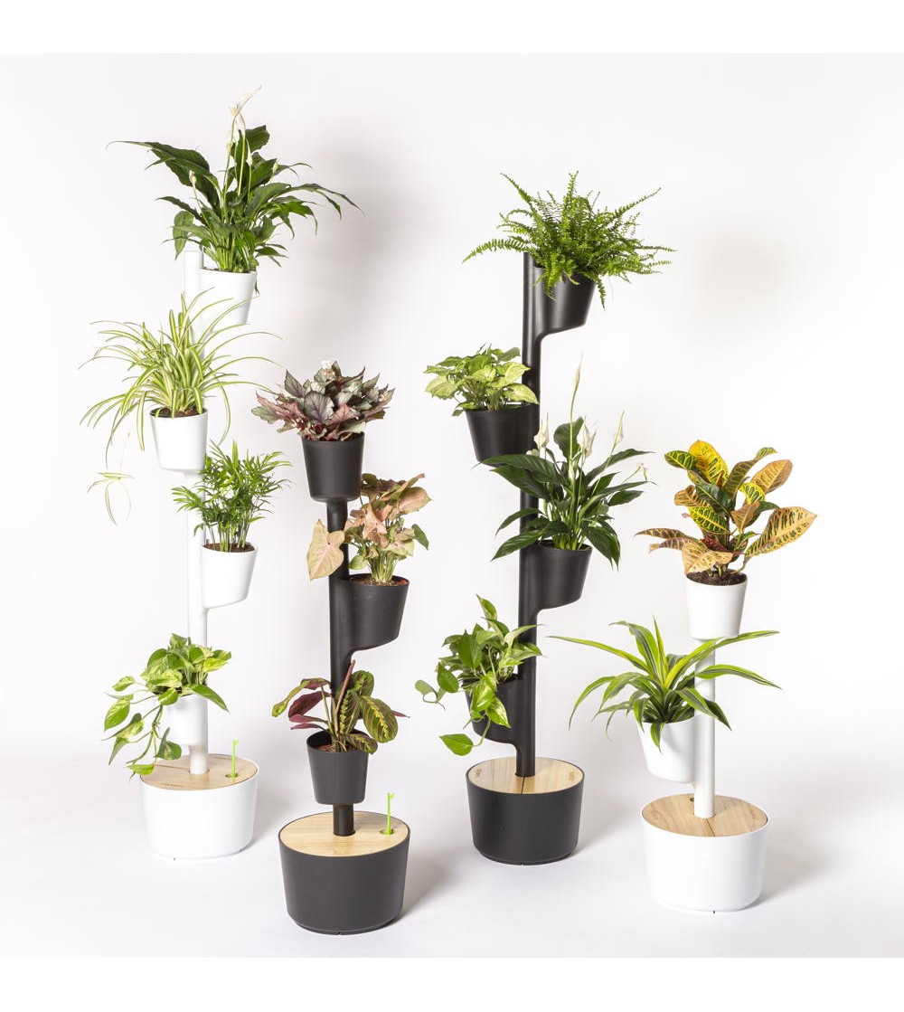 Macetero vertical personalizable | CitySens