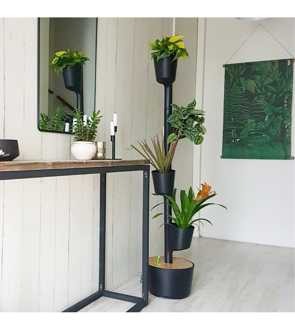 Suscripción: Macetero vertical con plantas nuevas cada estación | CitySens