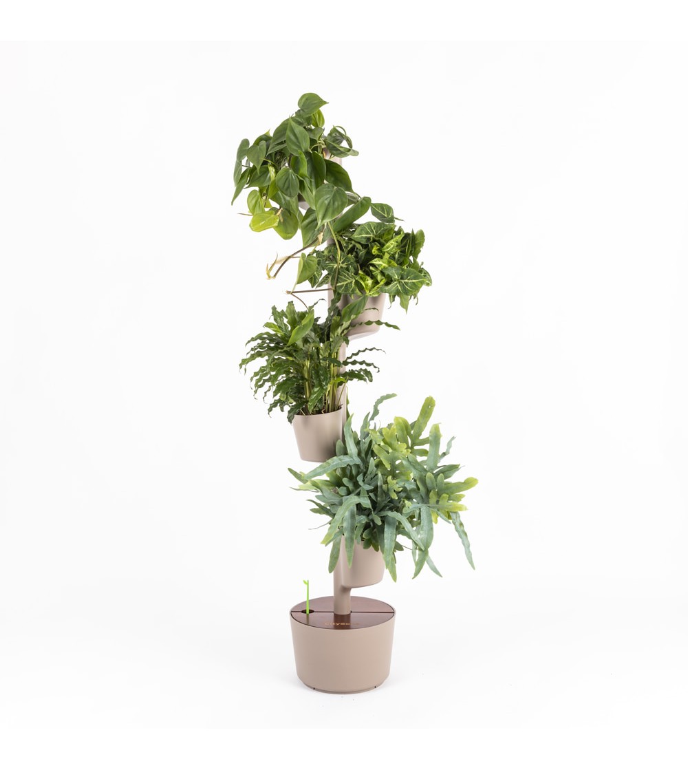 Macetero vertical corteza de pino con plantas de interior | CitySens