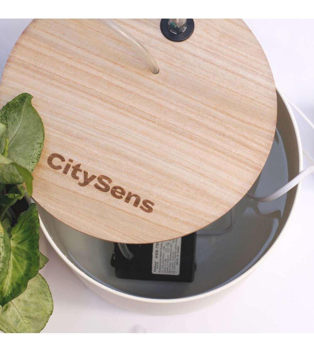 Automatic drip irrigation wth water tank |CitySens
