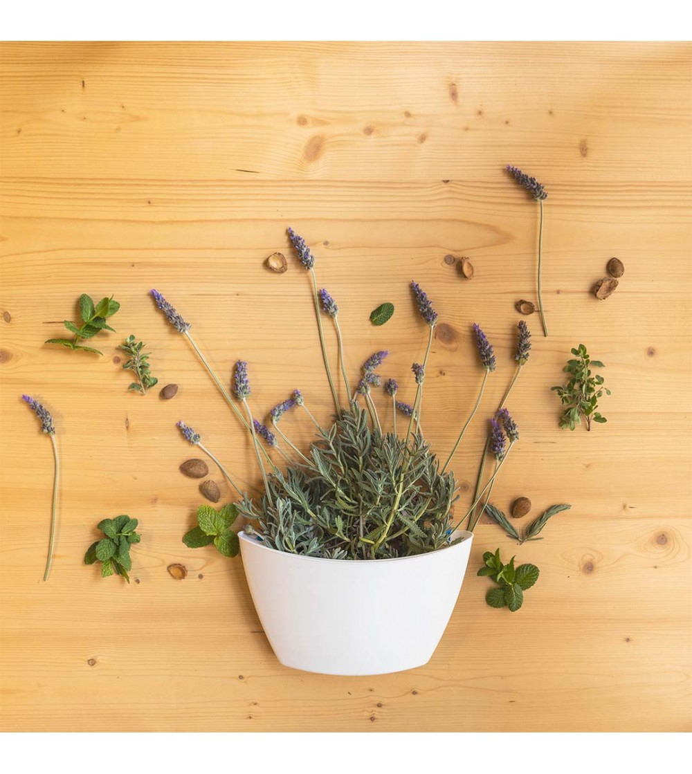 Pot mural | CitySens