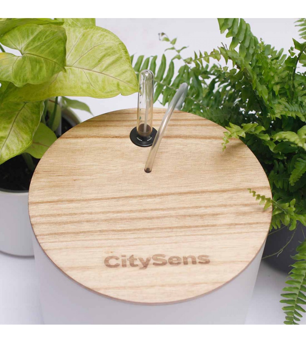 Automatic drip irrigation wth water tank |CitySens