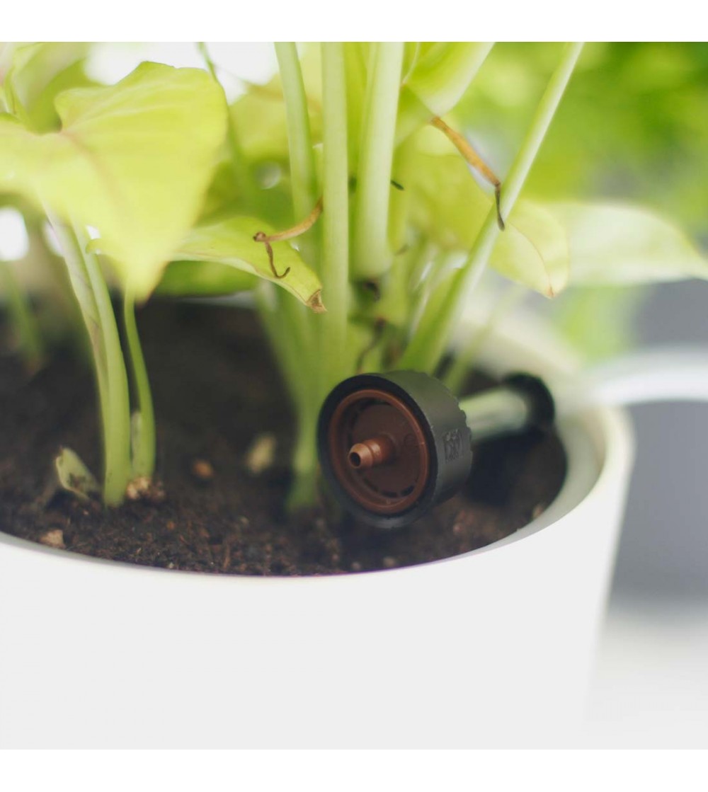 Automatic drip irrigation wth water tank |CitySens