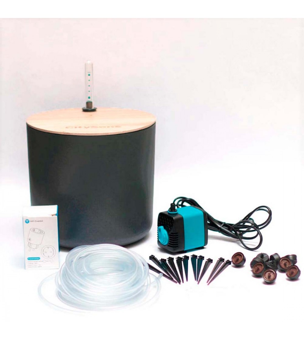 Automatic drip irrigation wth water tank |CitySens Automatic drip irrigation wth water tank |CitySens