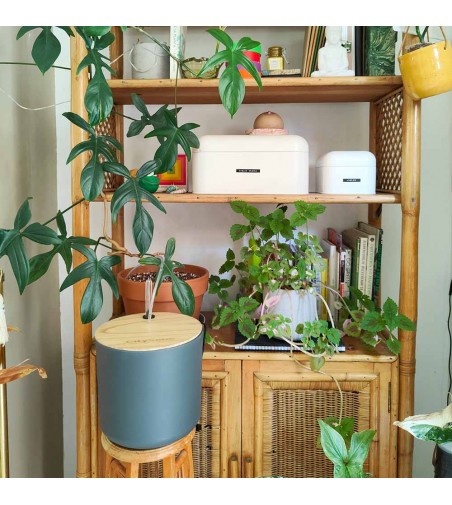 Automatic drip irrigation wth water tank |CitySens