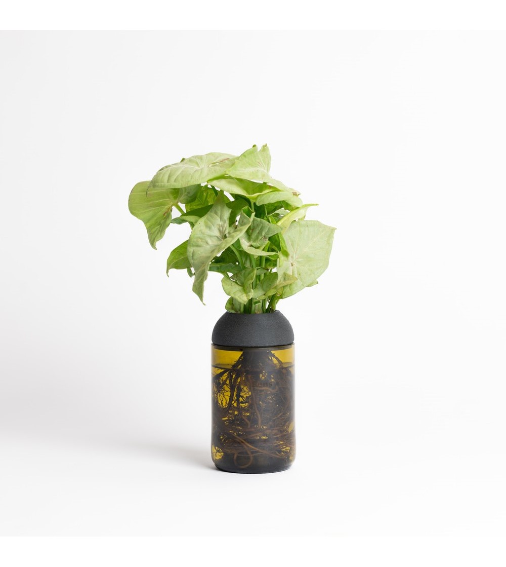 Transparent Planter: decorate your office with plants | CitySens