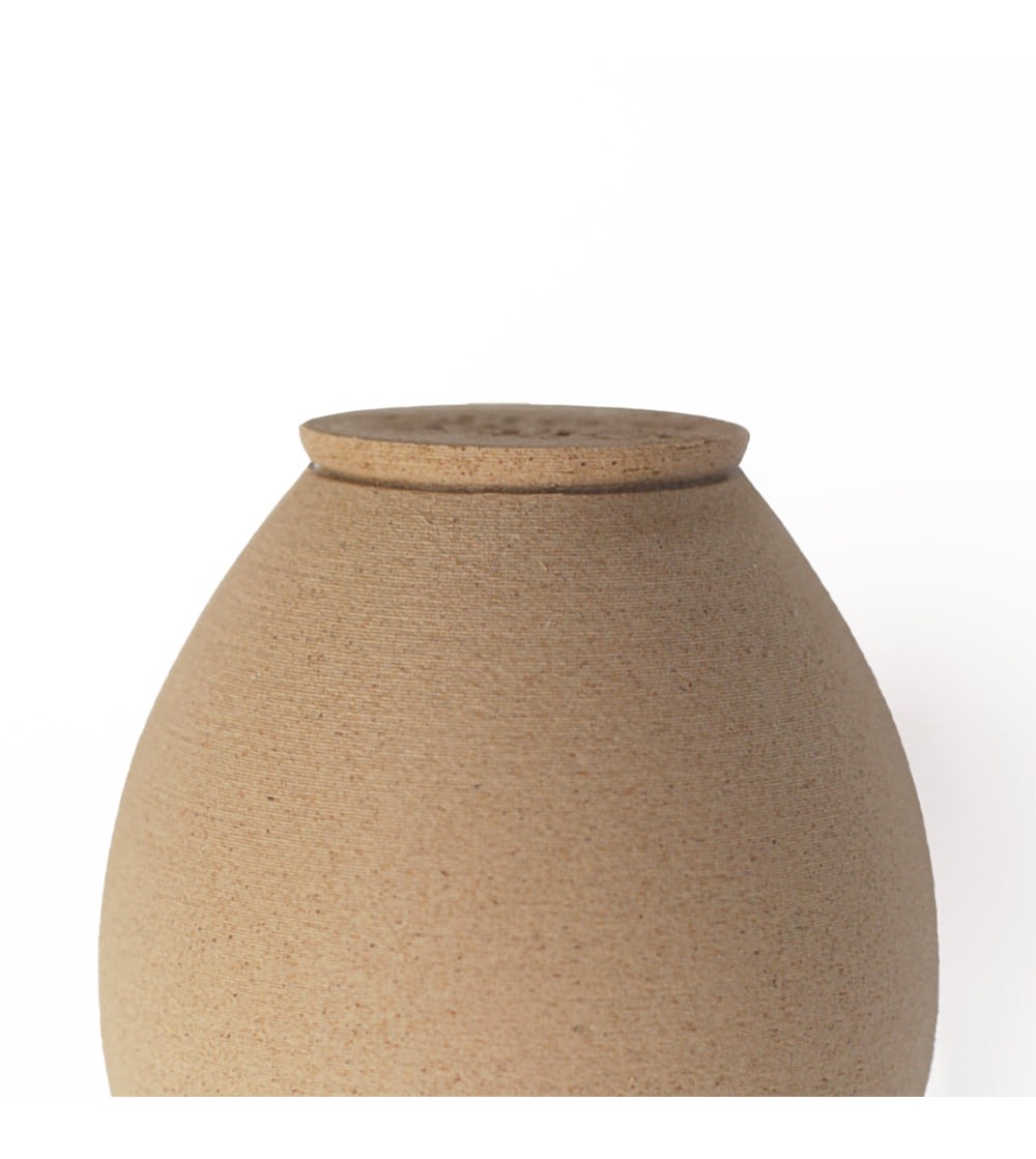 Watering Olla for Indoor Plants | CitySens