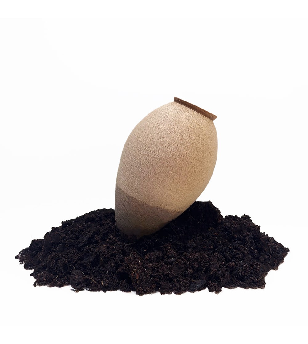 Watering Olla for Indoor Plants | CitySens