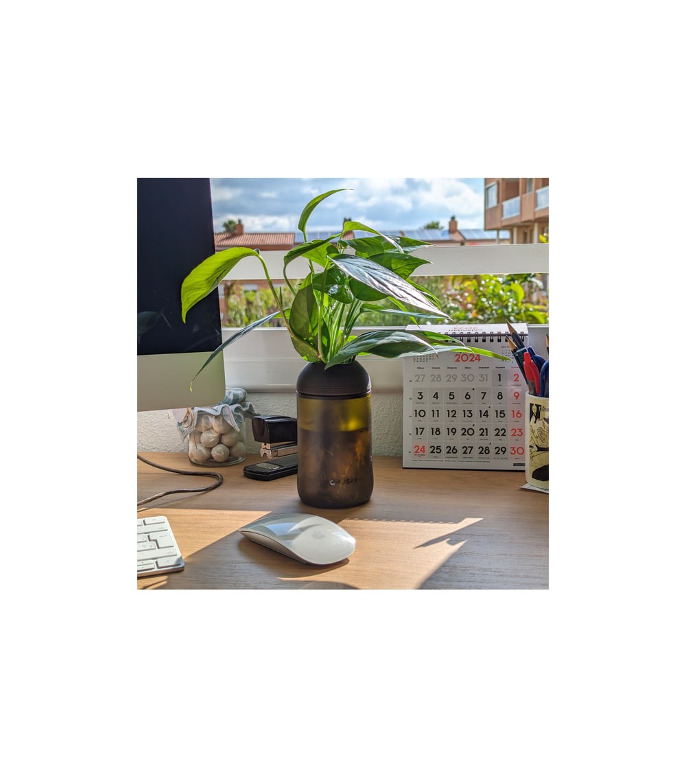 Transparent Planter: decorate your office with plants | CitySens