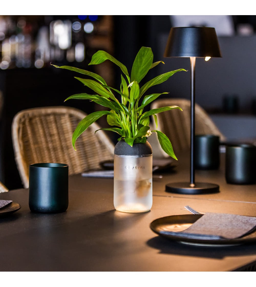 Transparent Planter: decorate your office with plants | CitySens