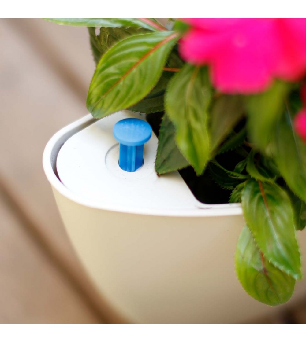 Pots muraux à arrosage automatique | Jardin vertical intérieur | CitySens