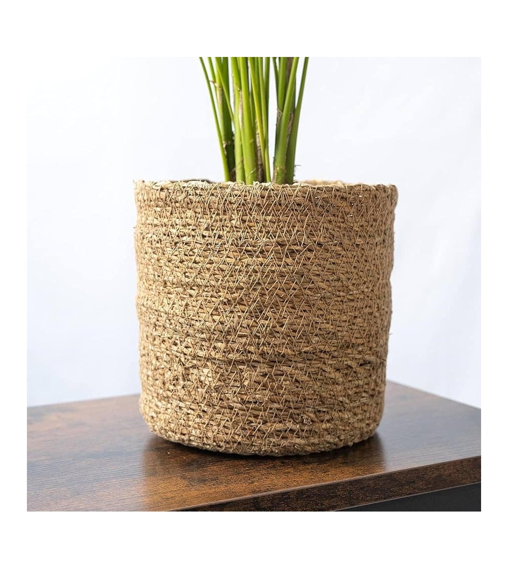 100% Natural Plant Pot | CitySens