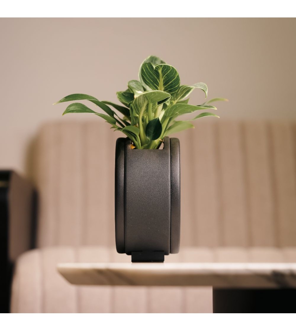 Round black planter for tabletop and wall